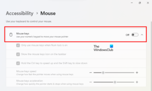 Mouse pointer moves when pressing Arrow keys [Fixed]