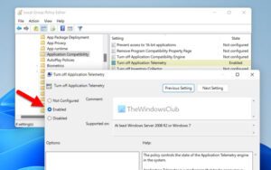 How to turn off Application Telemetry in Windows 11