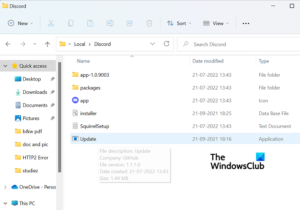 Fix Discord Screen Share Flickering or Lagging issues