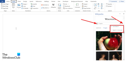 How to use Wikipedia in Microsoft Word