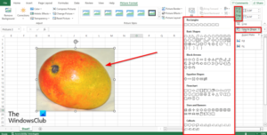 How to crop an image to shape in Excel