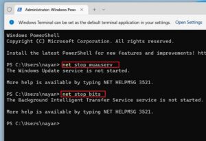 Windows Update Assistant not working [Fixed]