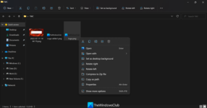 How to change File Type on Windows 11/10