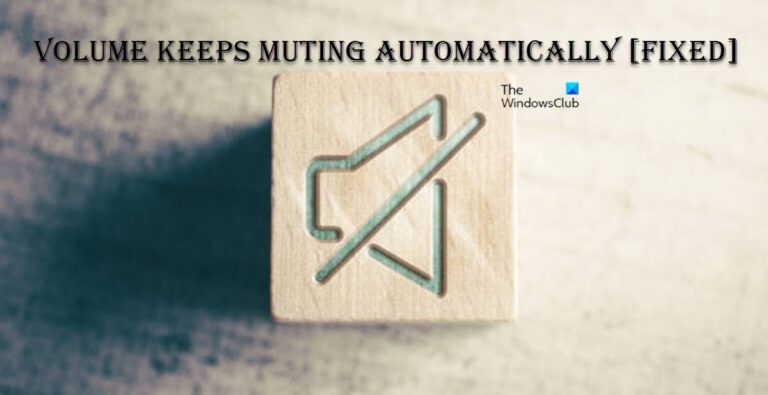 Volume keeps muting automatically on Windows 11/10