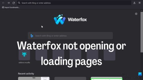 Waterfox not opening or loading pages on Windows PC [Fixed]