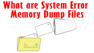 What are System Error Memory Dump Files in Windows 11