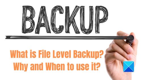 What is File Level Backup? Why and When to use it?