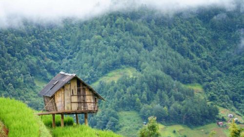 Best Free 4K Themes for Windows 11/10