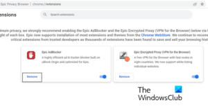 Epic Privacy Browser not working on Windows 11/10 PC