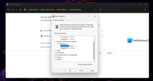 Desktop background or Wallpaper not showing in Windows 11/10