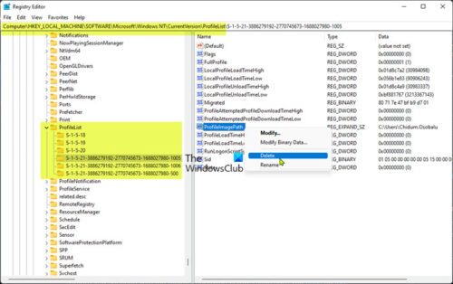 How to delete Domain Profile in Windows 11/10