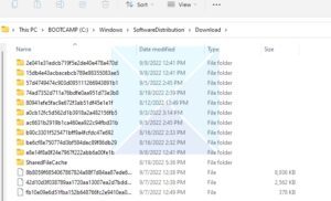 Temporary files not deleting in Windows 11/10