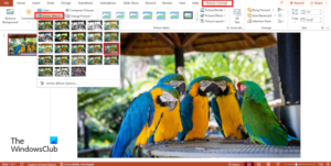 How to add Glass effect to Picture, Shape, WordArt in PowerPoint