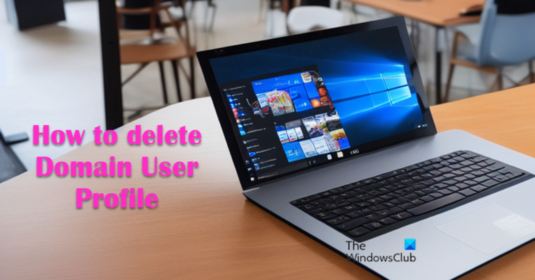 How to delete Domain Profile in Windows 11/10
