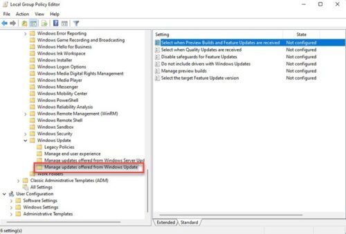How to Defer or Delay Windows 11 25H2 Update