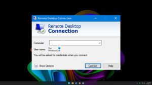 Remote Desktop connection very slow in Windows 11
