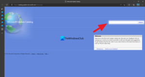 修复Windows 11 0x800f0991更新错误 - INFOXIAO