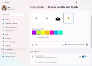 How to customize Mouse Buttons, Pointer, Cursor on Windows 11