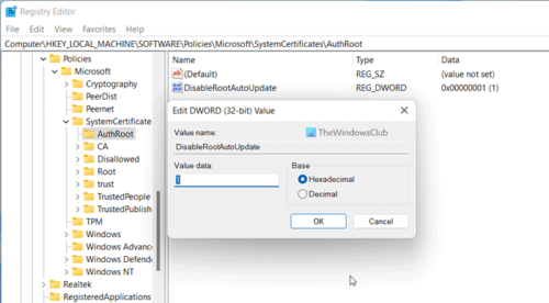 Remote Desktop connection very slow in Windows 11