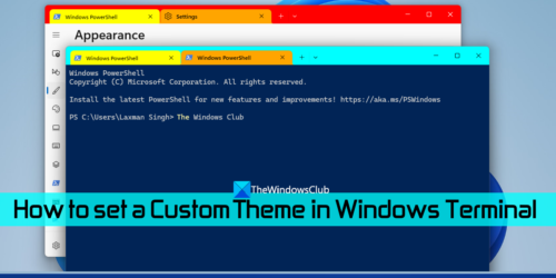 How to set a Custom Theme in Windows Terminal