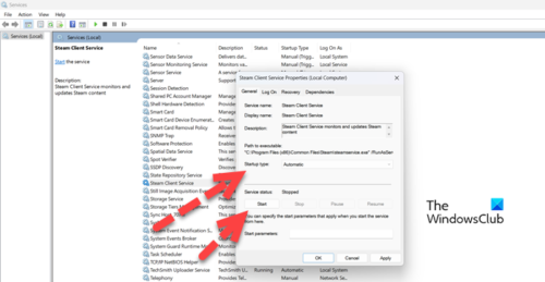 Steam Service Error: Steam Service requires some maintenance