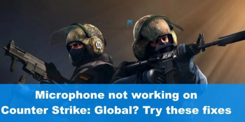 Microphone not working on Counter Strike: Global? Try these fixes