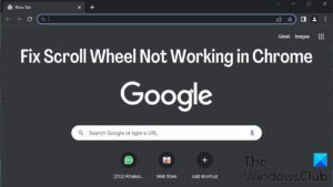 Scroll Wheel not working in Chrome on Windows PC [Fix]