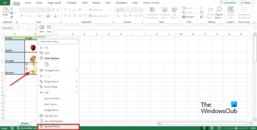 How to insert Image into a cell in Excel