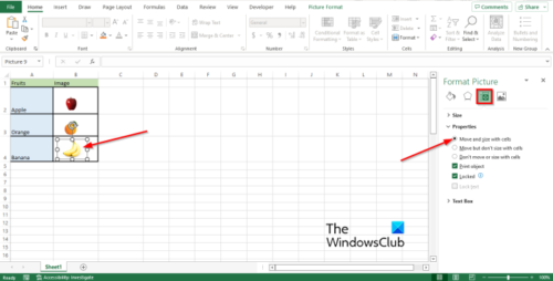 How to insert Image into a cell in Excel