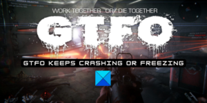 GTFO keeps crashing or freezing on Windows PC