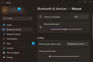 How to customize Mouse Buttons, Pointer, Cursor on Windows 11