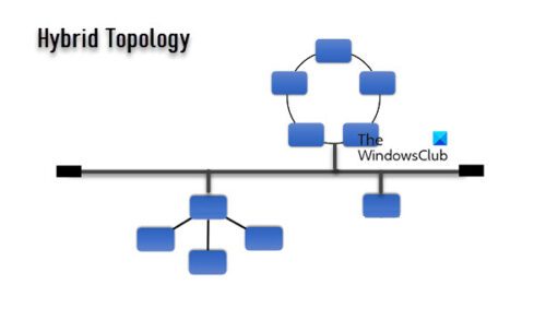 Types of Topology in Computer Network explained