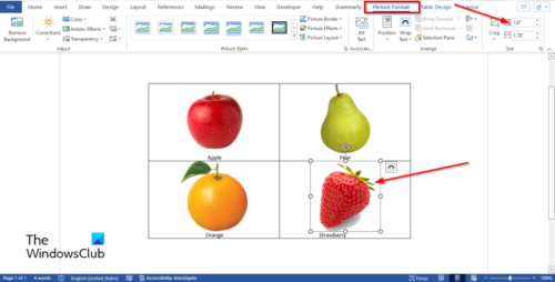 How to insert Images into Table in Microsoft Word