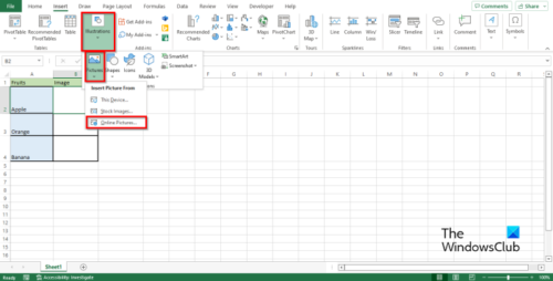 How to insert Image into a cell in Excel