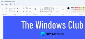 How to Blur or Pixelate an Image on Windows 11/10