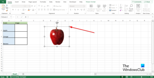 How to insert Image into a cell in Excel
