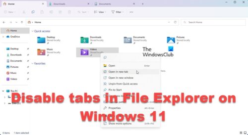 How to disable tabs in File Explorer on Windows 11?