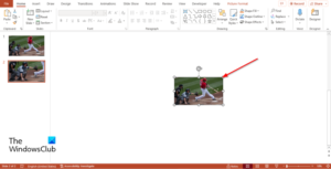 How to enable and use Morph transition in PowerPoint