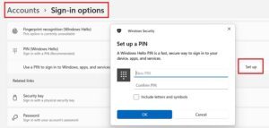 Fix PIN Error 0x80280013 on Windows 11/10