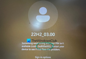 Error 0xd000a002, Something went wrong and PIN isn't available