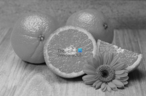 Make Black-and-White Photos using Desaturate in Photoshop