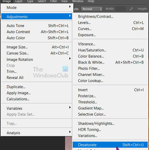 Make Black-and-White Photos using Desaturate in Photoshop