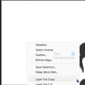 How to create Pattern using Custom Shape Tool in Photoshop