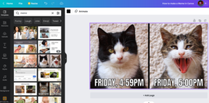 How to use Canva for free - Beginners Guide