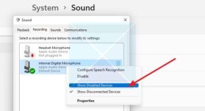 Realtek microphone not working in Windows 11/10