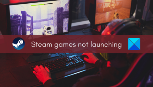 Steam Games not launching or opening on Windows 11/10