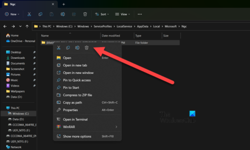 Code 0xd0000225, Something went wrong and your PIN isn't available