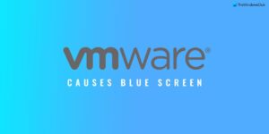 VMware causes Blue Screen on Windows 11/10
