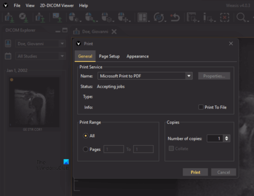 How to convert DICOM to PDF on Windows 11/10