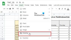 How to put Diagonal Line through Cell in Excel or Google Sheets